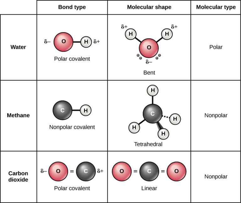 2.1 Atoms, Isotopes, Ions, and Molecules: The Building Blocks ...