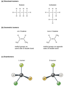 2.3 Carbon – Introduction to Biology